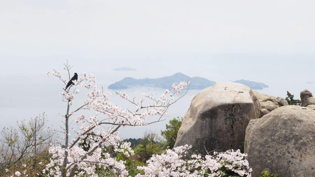 Balade sur le mont Misen, Miyajima (Japon) - island-touch.com - Le ...