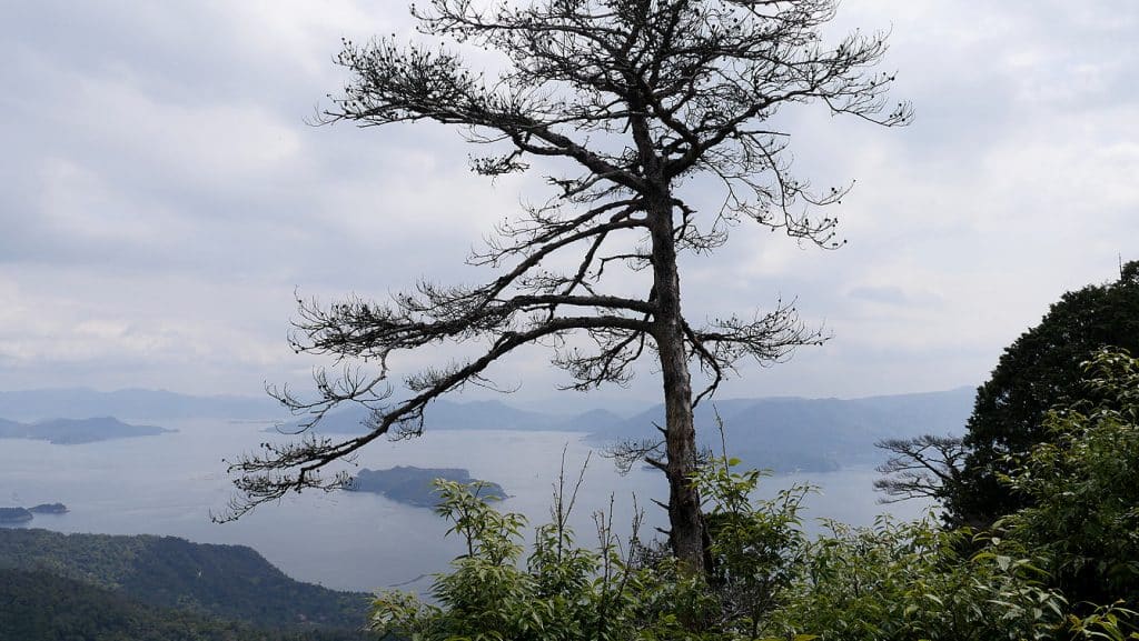 Balade sur le mont Misen, Miyajima (Japon) - IslandTouch.com